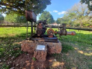 Visit Irene Farm, the Farm within the City - In Mzansi